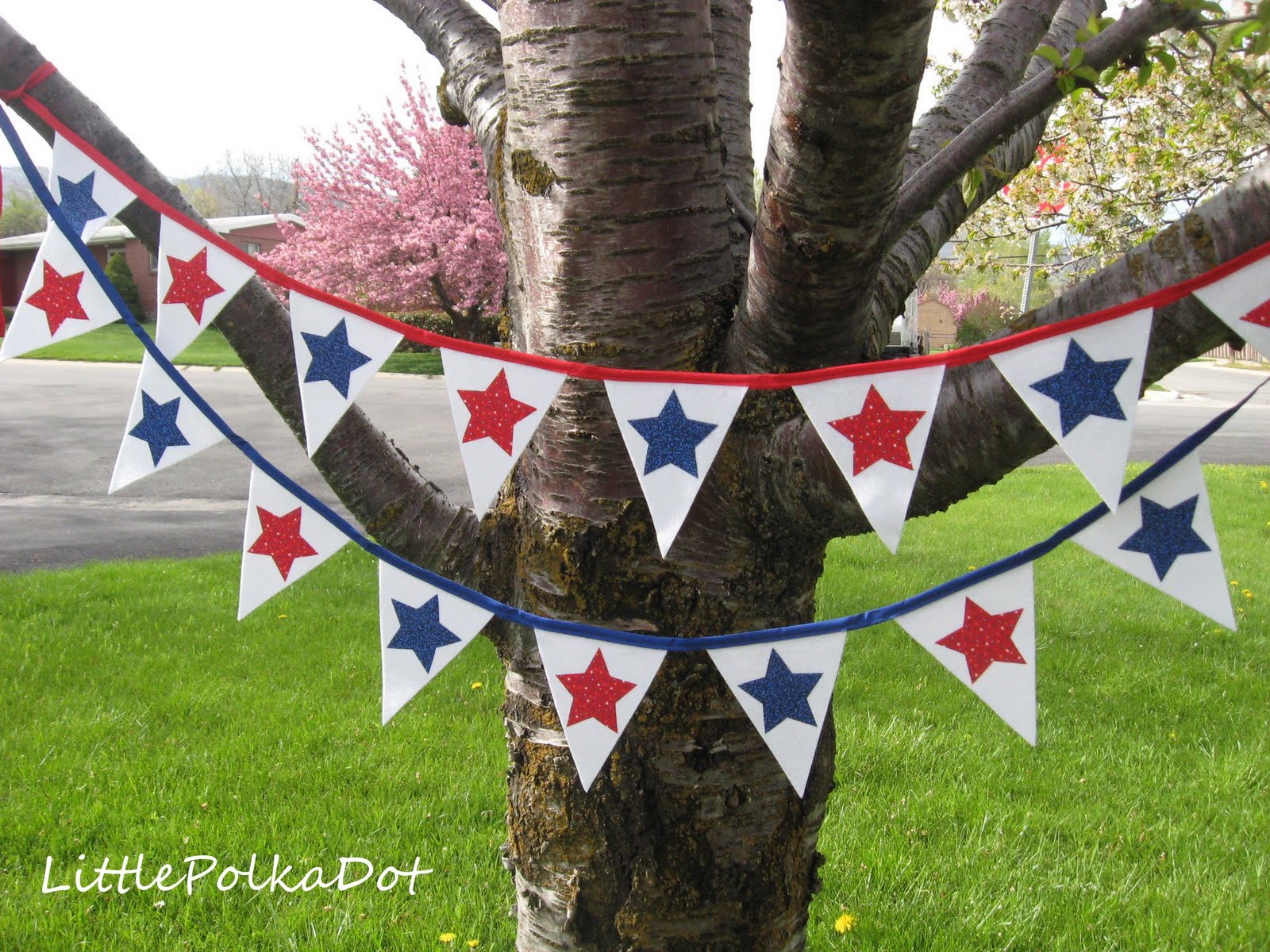 21 Fourth of July Ideas -- party ideas, recipes, printables, decor and ...