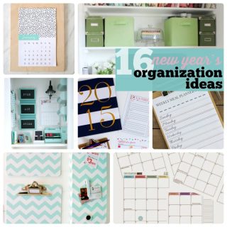 Great Ideas -- 16 New Year's Organization Ideas!