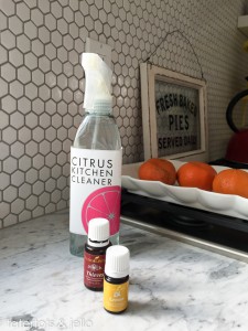 Spring Cleaning: All-Natural Citrus Kitchen Cleaner Recipe! - Tatertots ...