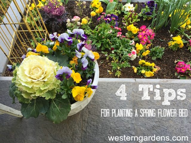 4 Tips for Planting a Spring Flower Bed! - Tatertots and Jello
