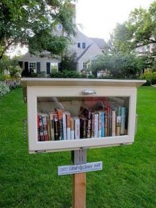 Build a Little Free Library Information and Ideas