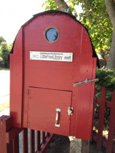 Build a Little Free Library Information and Ideas