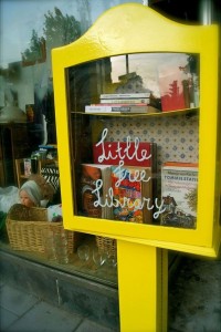 Build a Little Free Library Information and Ideas