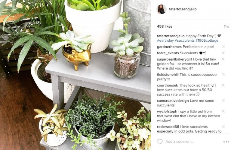 Modern Industrial Farmhouse Succulent Garden