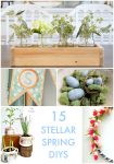 Great Ideas -- 15 Stellar Spring Ideas!