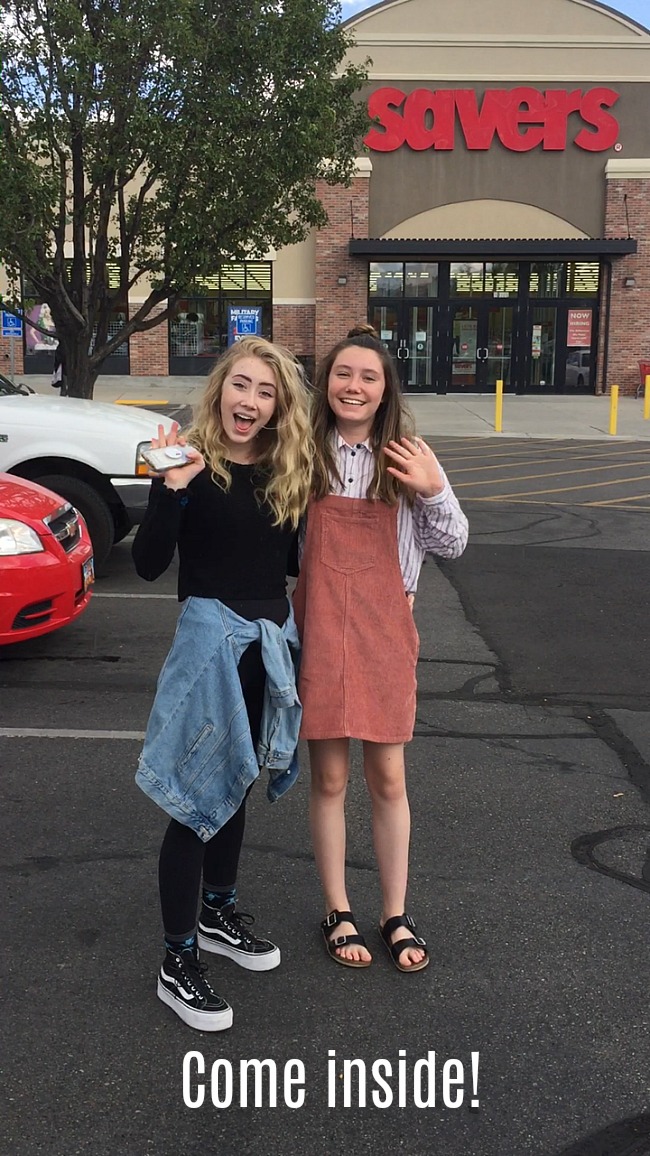 Couples, Dog Halloween Costume Idea - Salt, Pepper, Paprika