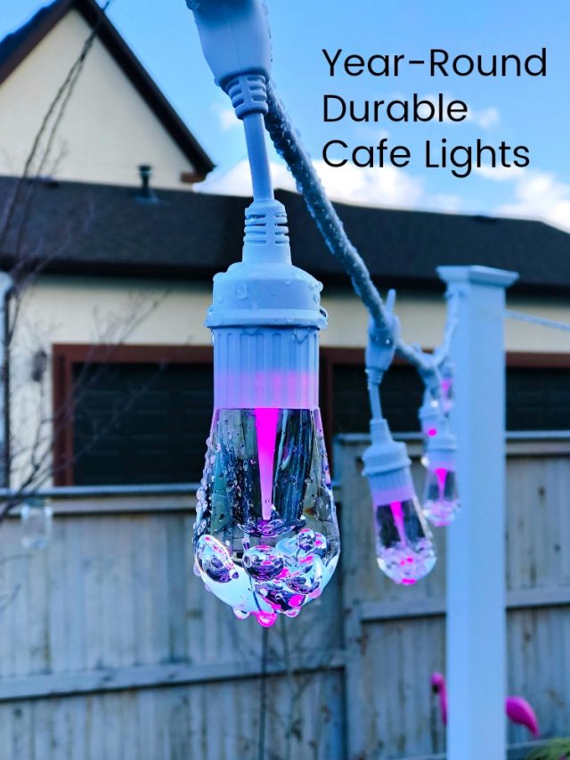 Add Color to Your Outdoor Space with Color-Changing Lights!