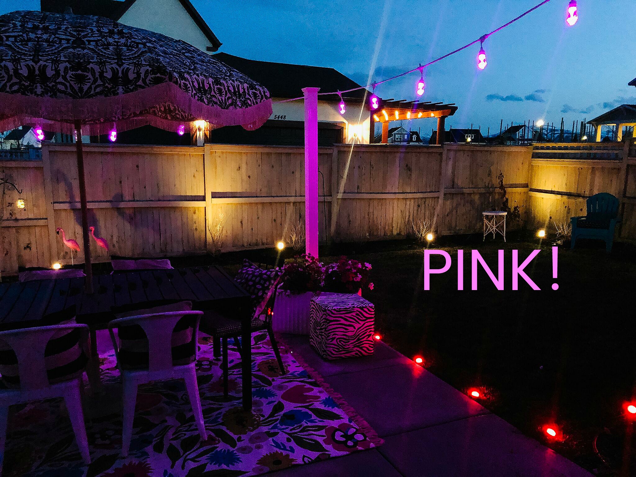Add Color to Your Outdoor Space with Color-Changing Lights!