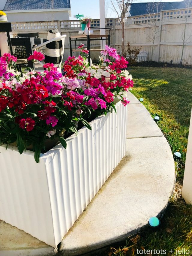 Add Color to Your Outdoor Space with Color-Changing Lights!