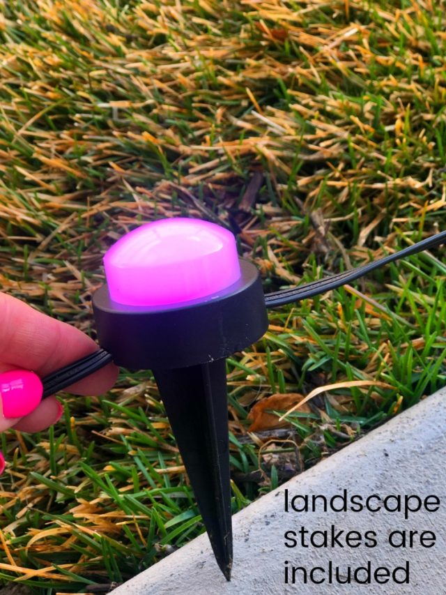 Add Color to Your Outdoor Space with Color-Changing Lights!