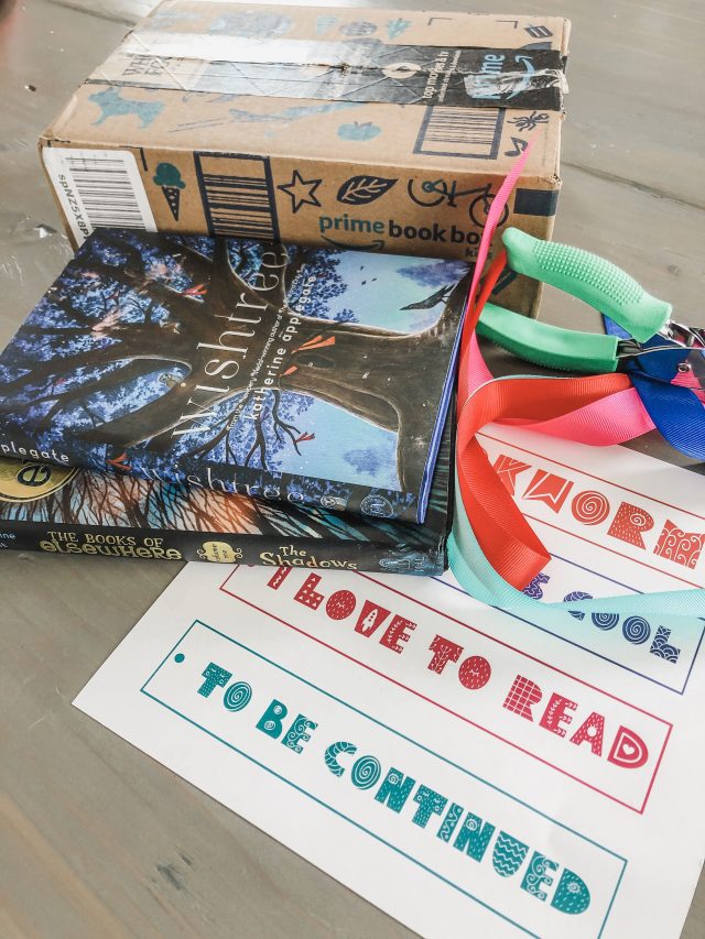 Reading Just Got Easier This Summer With Prime Book Box!