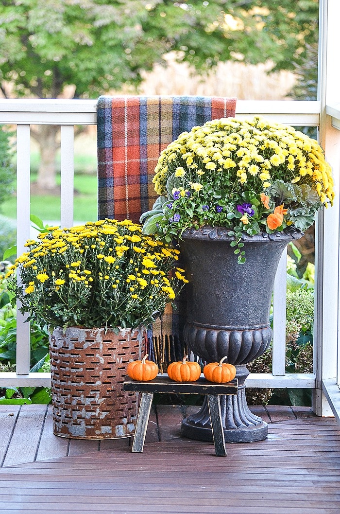 15 Bright and Colorful Fall Porch Ideas to try this Autumn!