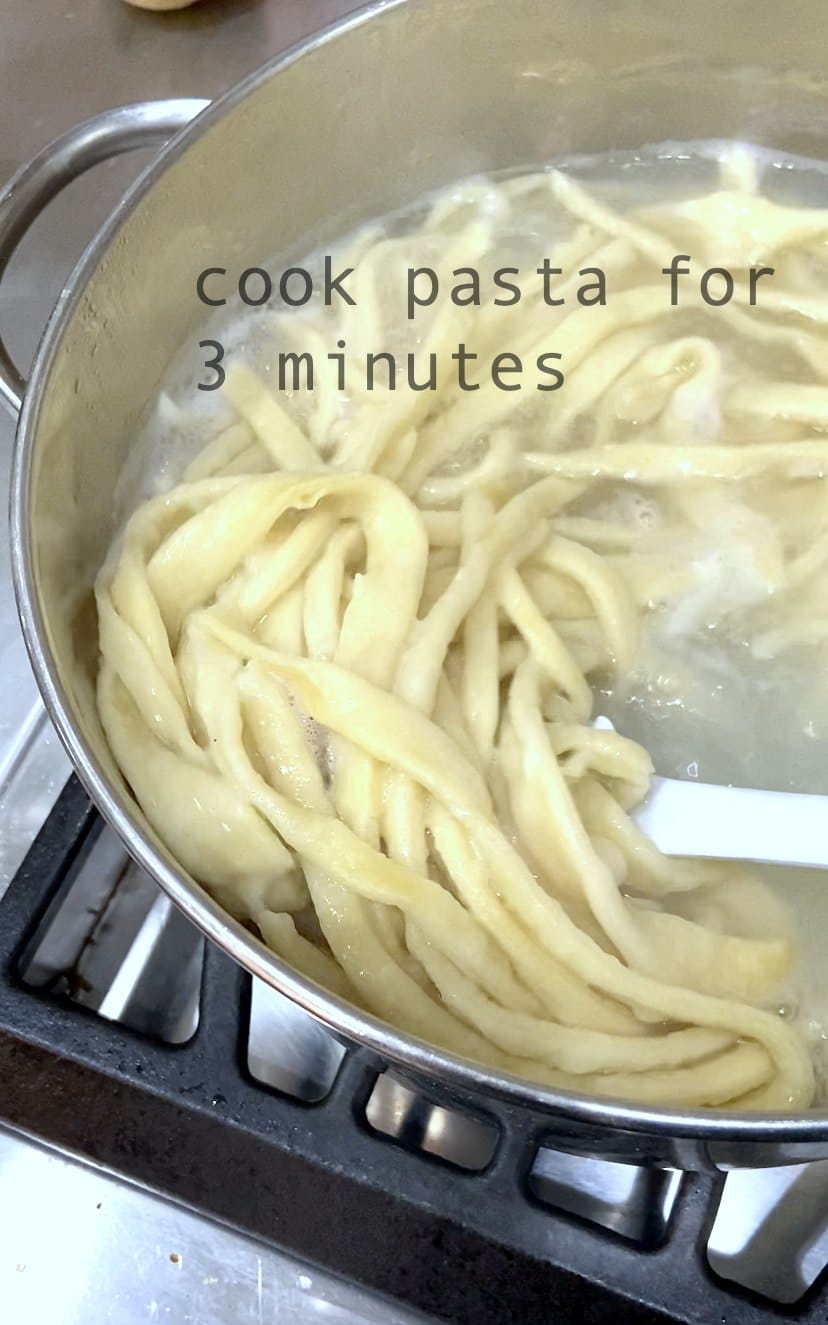 The Easiest Homemade Pasta Recipe with No Machine! - Tatertots and Jello