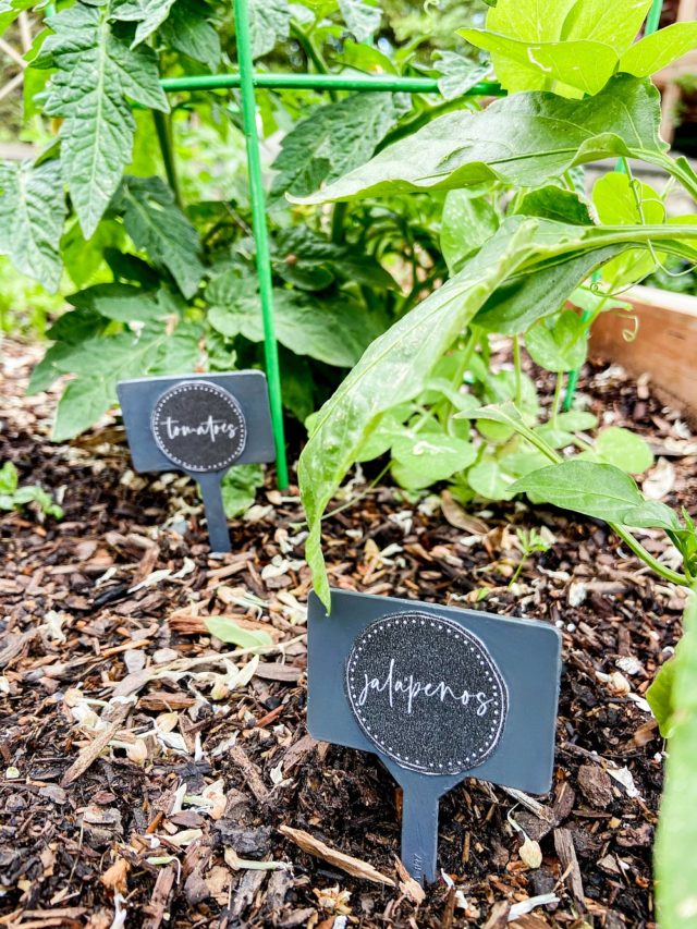 Printable Garden Plant Markers - Tatertots and Jello