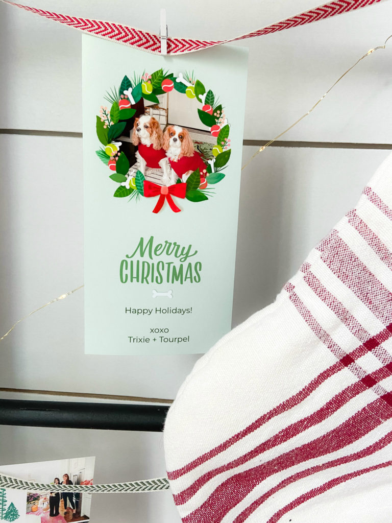 DIY Holiday Card Display Ladder - Tatertots and Jello