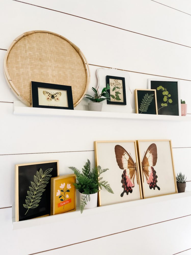 Botanical Art Focal Shelves with 6 free butterfly and botanical printables!