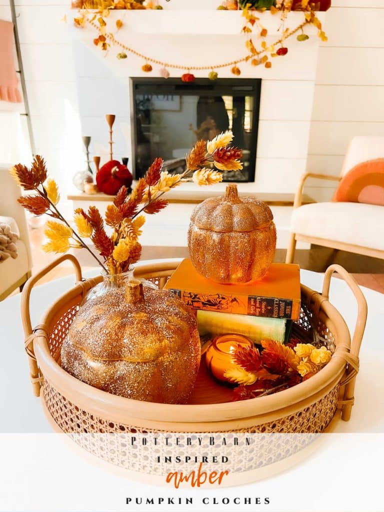 Pottery Barn Inspired Amber Pumpkin Cloches for 95% off!