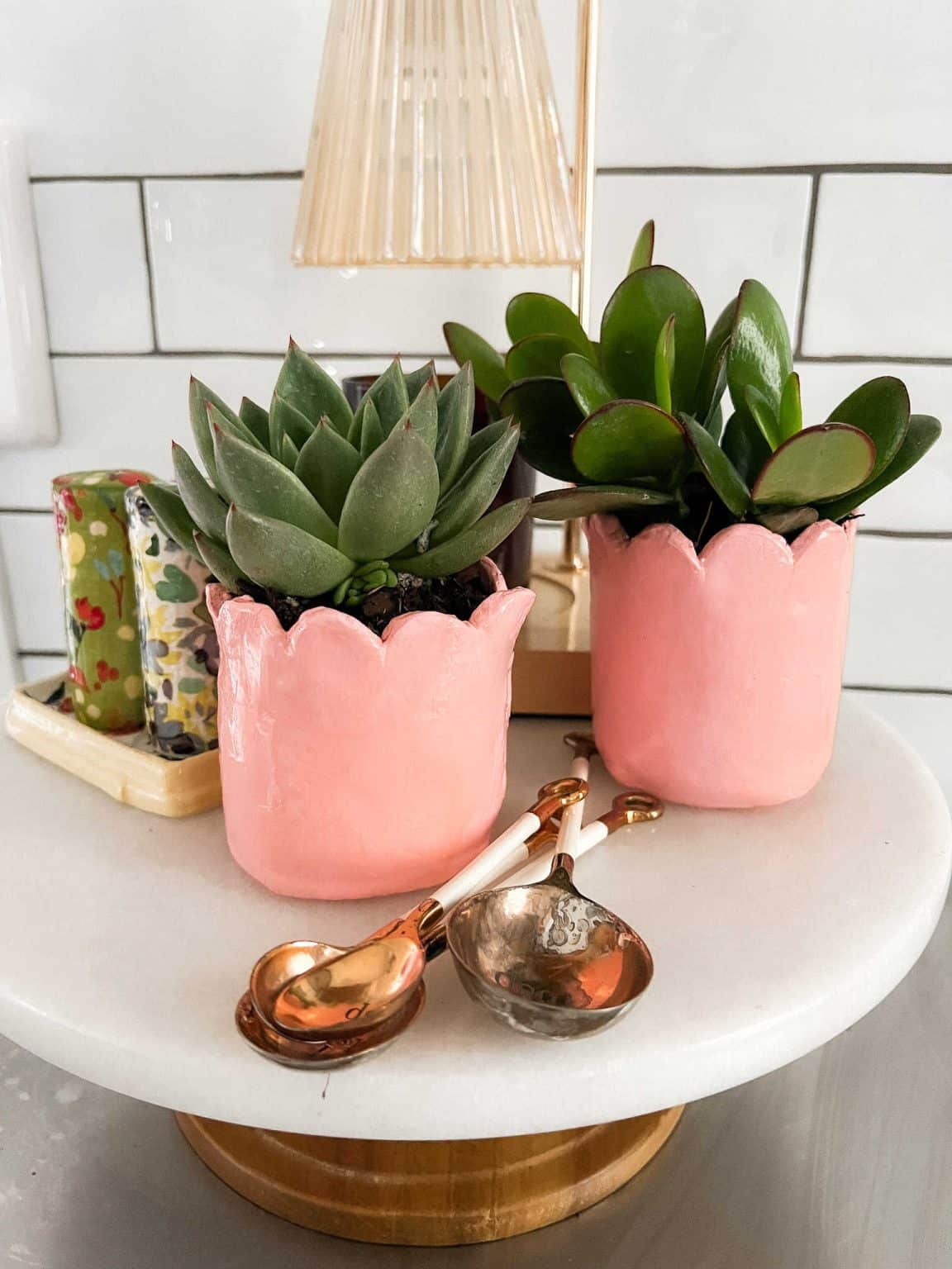 DIY Clay Succulent Scallop Pots