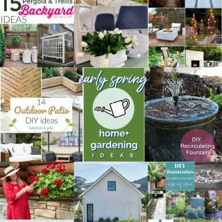 Early Spring Ideas! Recipes, decor and more!