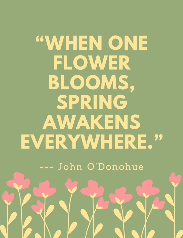 Three Free Spring Flower Prints - and 8 more Spring Printables!