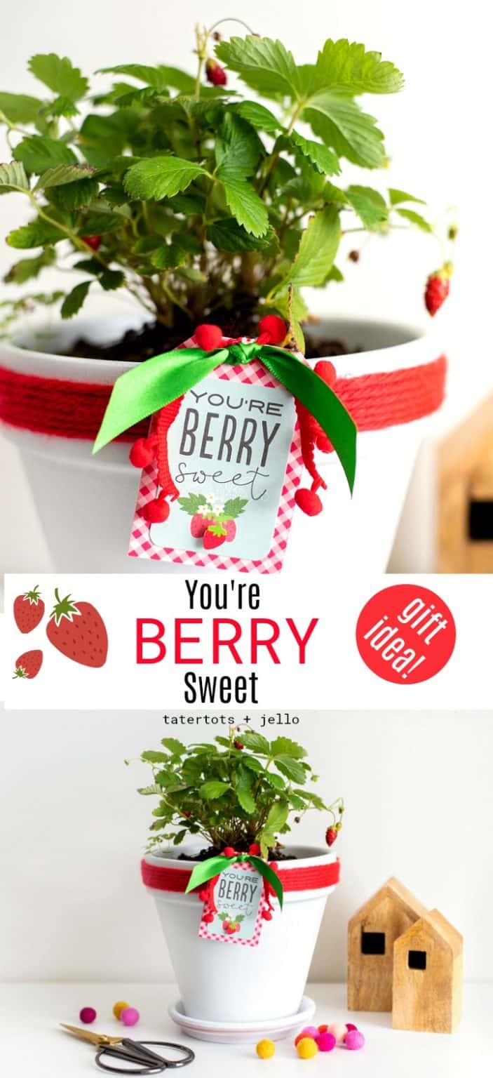 25 DIY Gift Ideas to Make!
