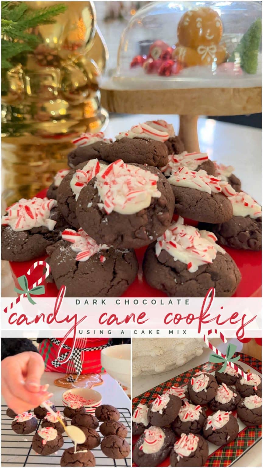 Dark Chocolate Candy Cane Cookies - easy recipe!