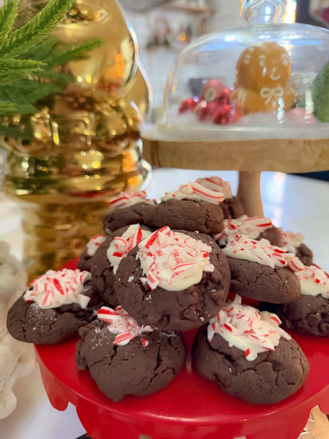 Dark Chocolate Candy Cane Cookies - easy recipe!